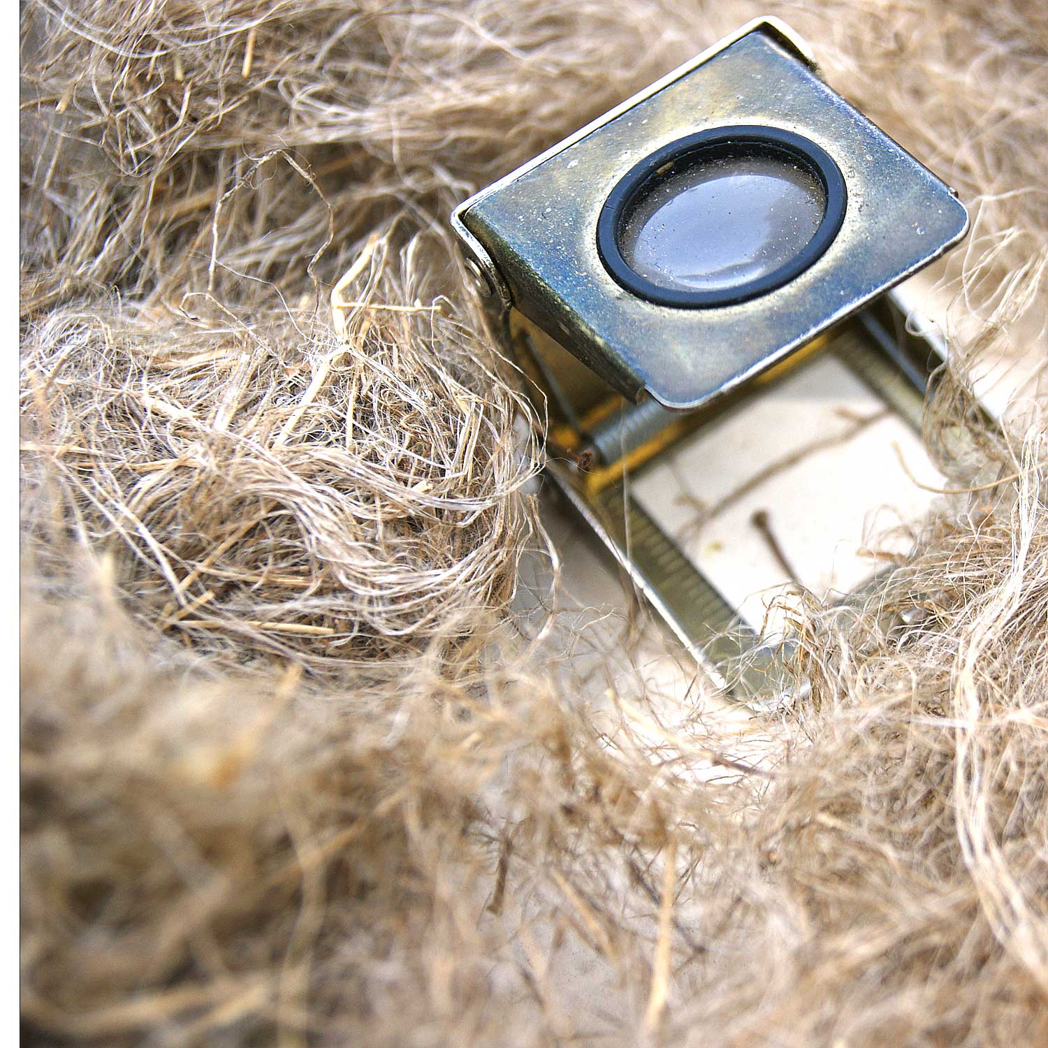 Flachs und Leinen | Flachsshop | Schwungwerg Flachswerg Tauröste 0,5 kg ...